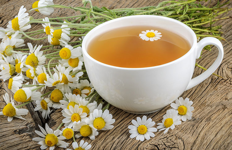 6 Amazing Chamomile Benefits And Uses Daily Health Valley